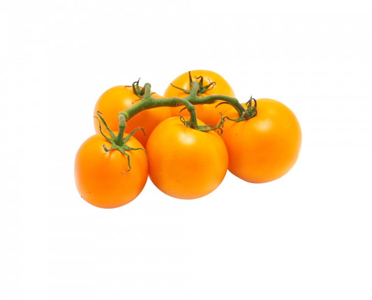 Orange Tomatoes on-the-vine | Pure Harvest